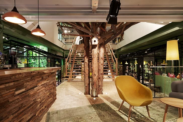 Biophilic Design in the Workplace | Greater Group